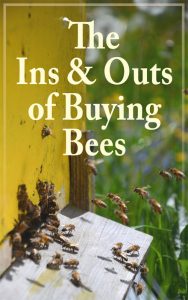 The Ins and Outs of Buying Bees - Backyard Beekeeping